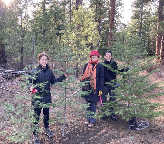 Tree Hunt Donations — Deschutes Land Trust