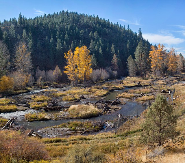 Understanding Carbon Storage — Deschutes Land Trust