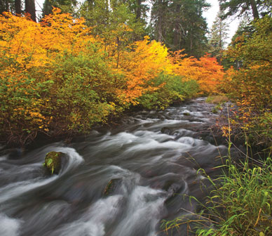 A Photo Retrospective, Conserving Central Oregon — Deschutes Land Trust