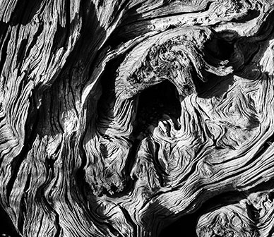 What does racism have to do with conservation? — Deschutes Land Trust