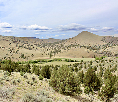 Priday Ranch — Deschutes Land Trust